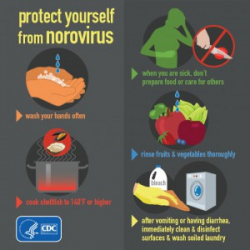 Norvirus | Deschutes County Oregon