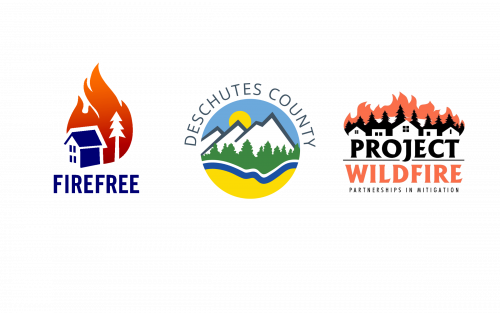 County offering free yard debris disposal ahead of wildfire season ...