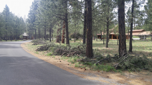 County offering grants to reduce wildfire risk | Deschutes County Oregon