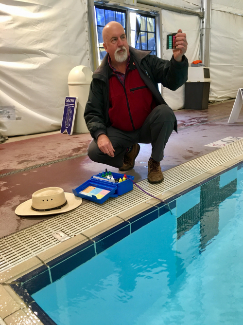 Do Dogs Pee In Swimming Pools